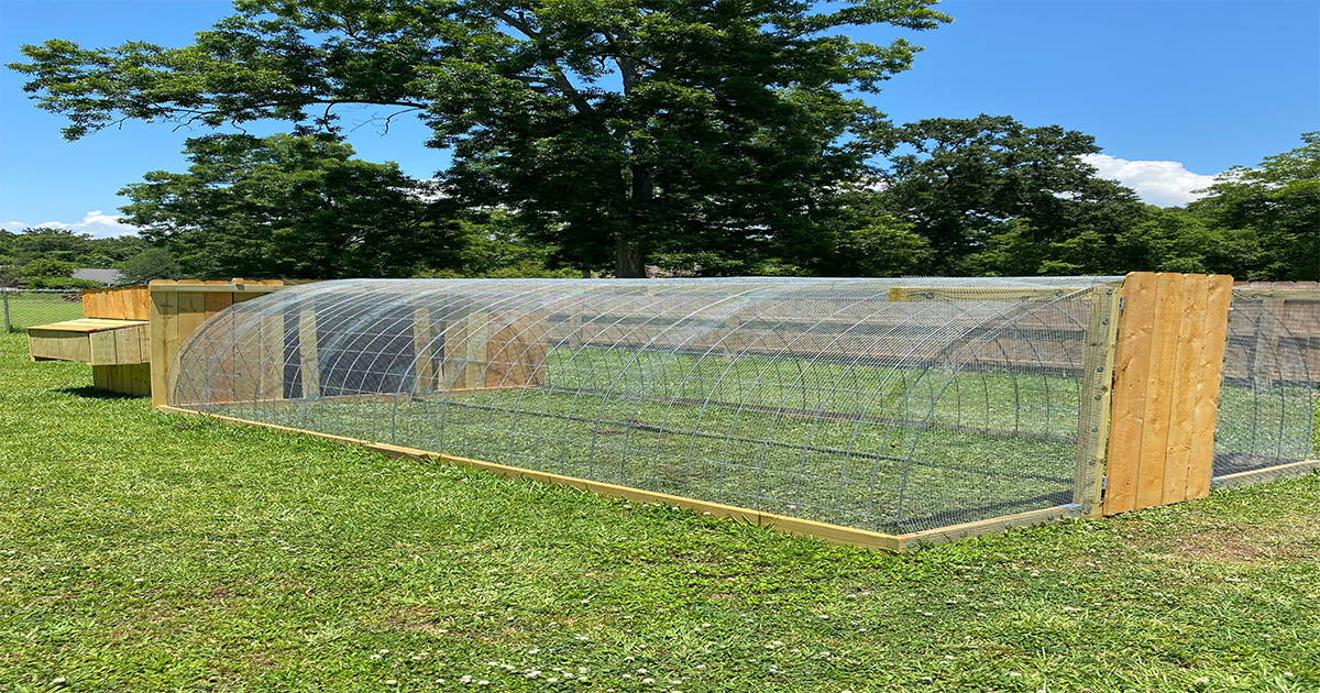 Cattle Panel Greenhouse - FAQs And How To Build Your Own - Yard Wiki Cattle Panel Greenhouse - FAQs And How To Build Your Own - Yard Wiki
